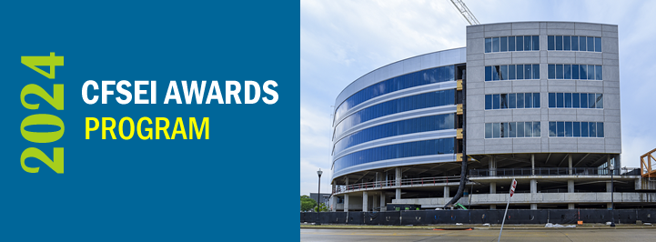 2024 CFSEI Awards Program